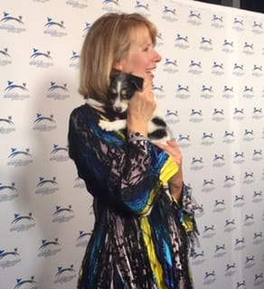 FullSizeRender-17 – Pam Stone